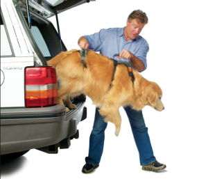 Help Em Up Harness | Animal Rehabilitation Centre - ARC