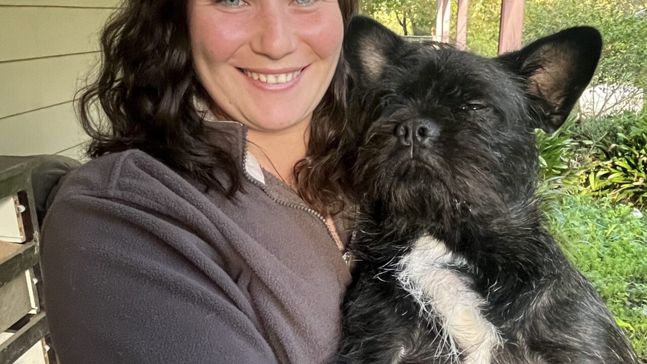 About Us | Animal Rehabilitation Centre - ARC